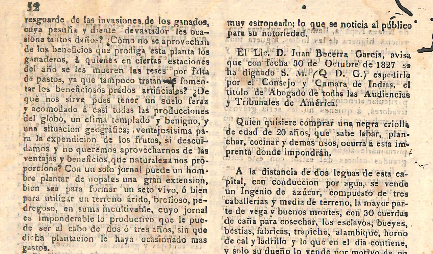 Bou-image018 - The Rutgers Puerto Rico Archival Collaboration (PRAC)